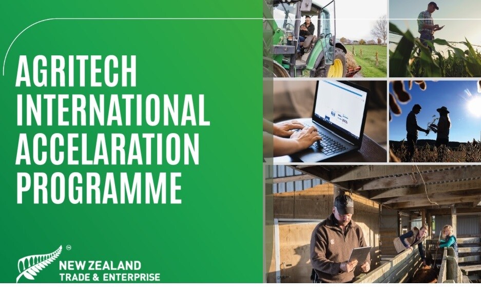 Governo da Nova Zelândia acelera internacionalização de empresas de ...