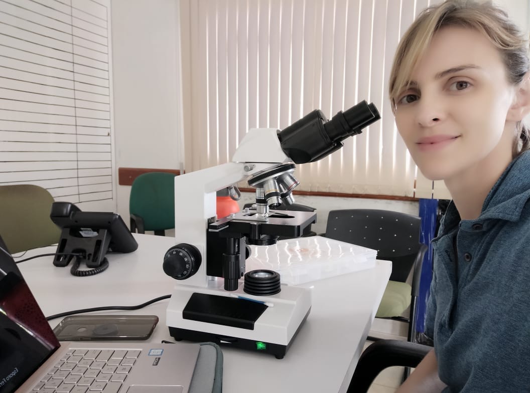 De healthtech a agtech: Doroth aposta em análises genômicas do solo ...