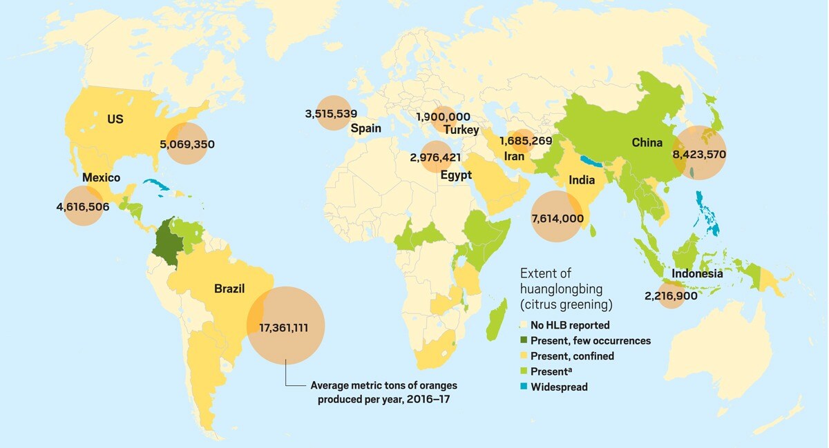Invaio levanta US$ 88,9 milhões e mira expansão também no mercado ...