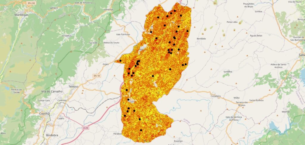 Protegendo florestas mundo afora, catarinense Quiron prevê multiplicar ...