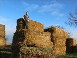 Thomas Gent, da Gentle Farming: “O momento é dos mais emocionantes para ...