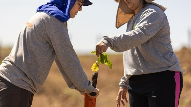 CERC e Sintropica Capital Natural anunciam primeiro registro de CPR ...