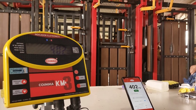 Coimma lança app para controle da pesagem de bovinos em tempo real
