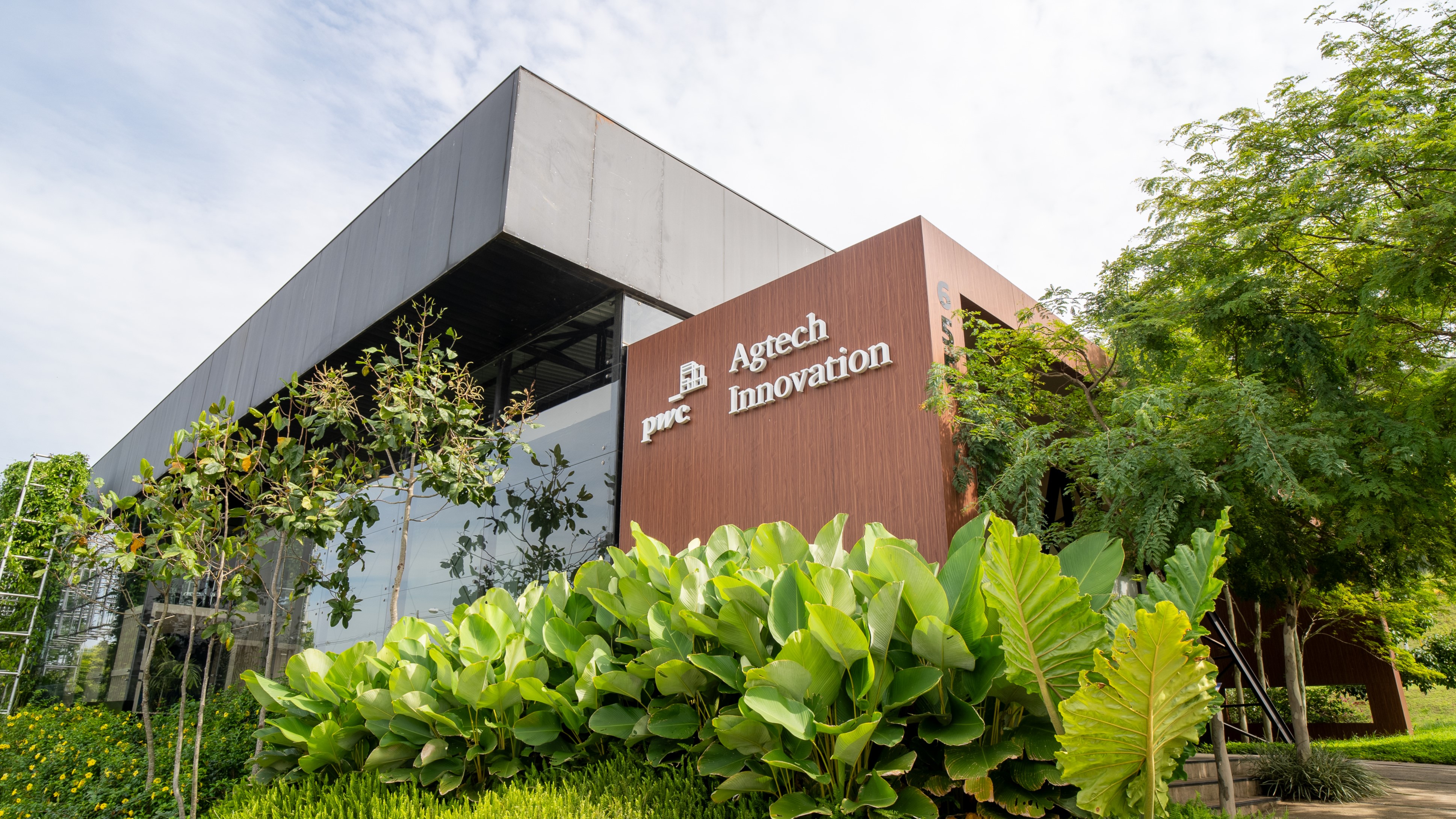 HUB CNA e PwC Agtech Innovation anunciam cooperação para ações de ...